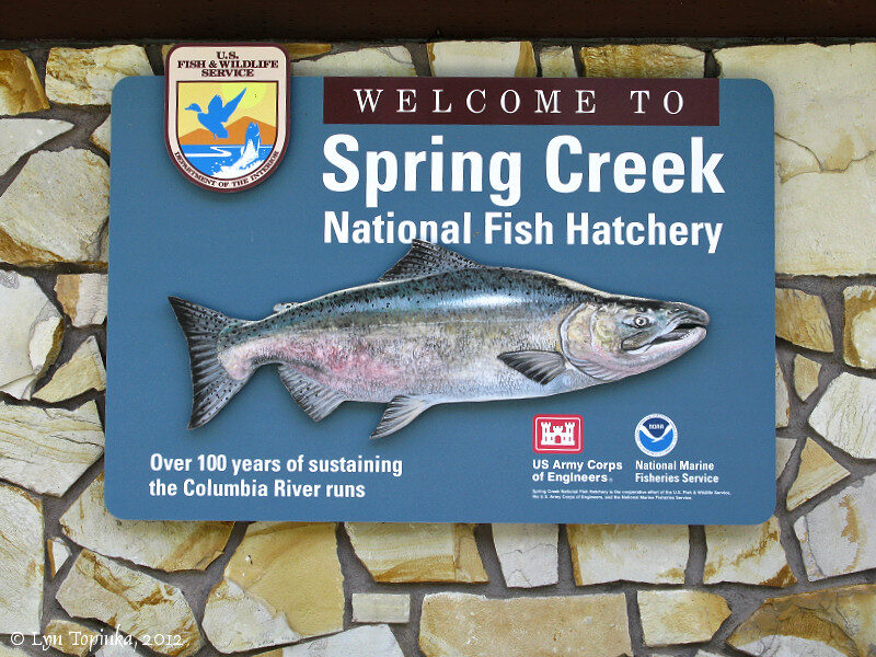 Spring Creek National Fish Hatchery - Lewis and Clark National Historic ...